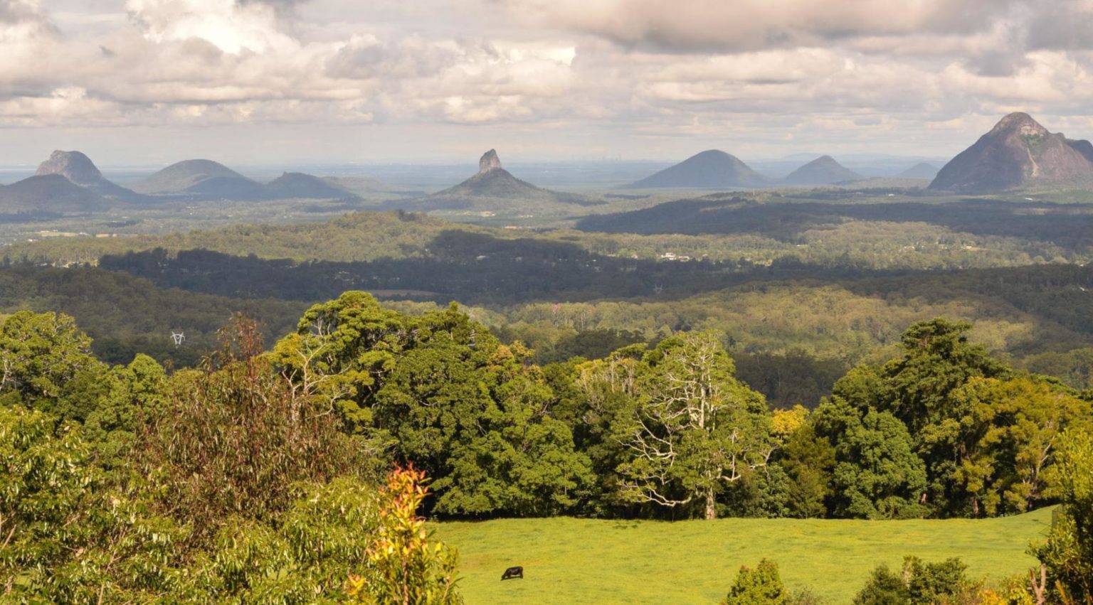 Epic Things to Do on the Sunshine Coast | AVID Harmony